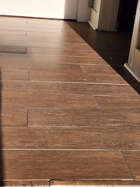 Hair and dust on the floor