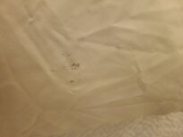Grease on pillowcase