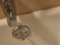 Mold in the shower