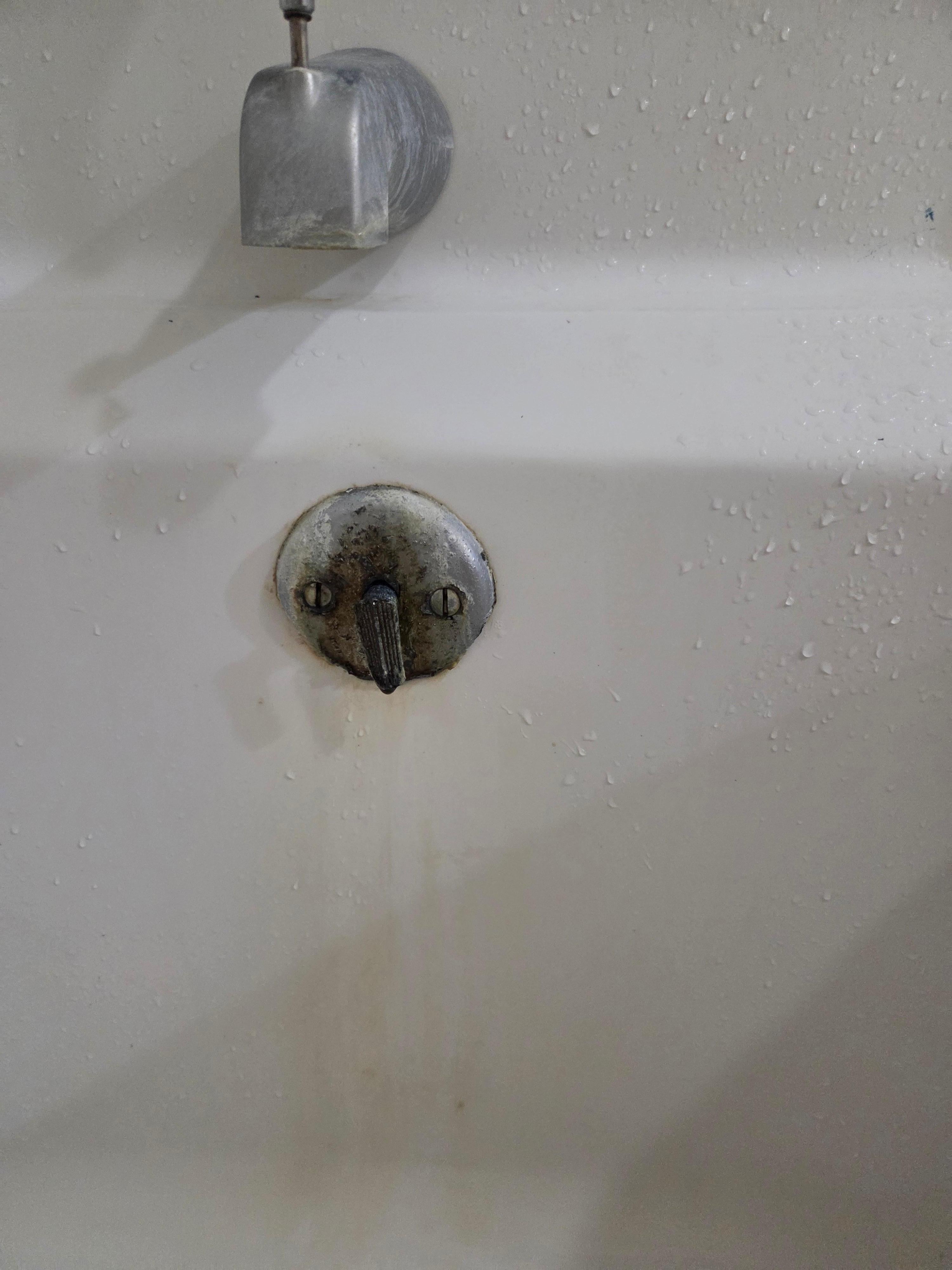 Bathtub faucet and drain closer.