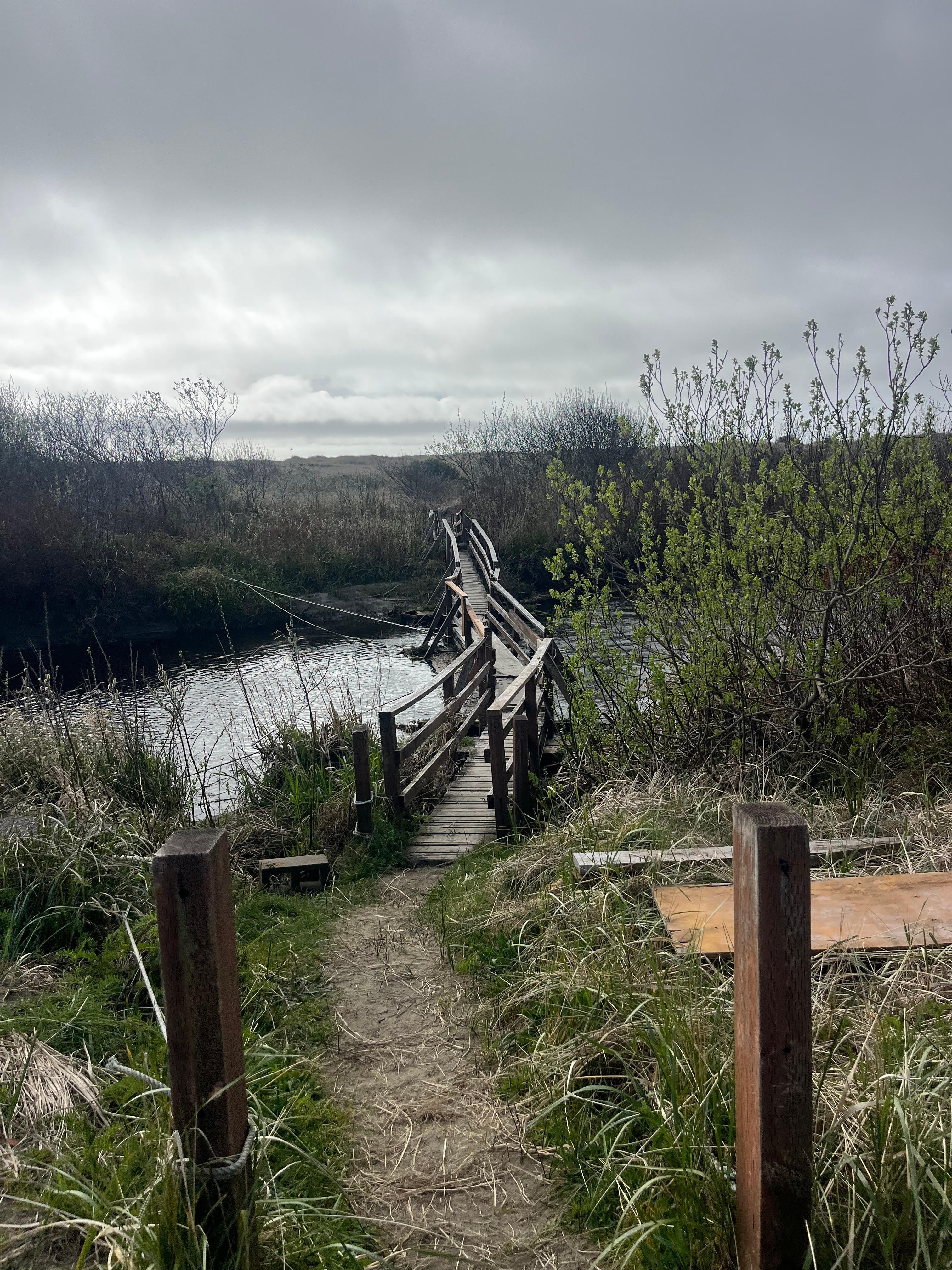 Bridge to get to the beach