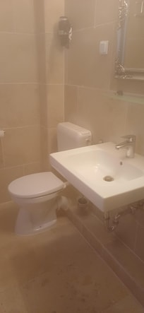 Shower and toilet