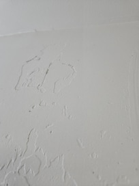 Mold on bathroom ceiling