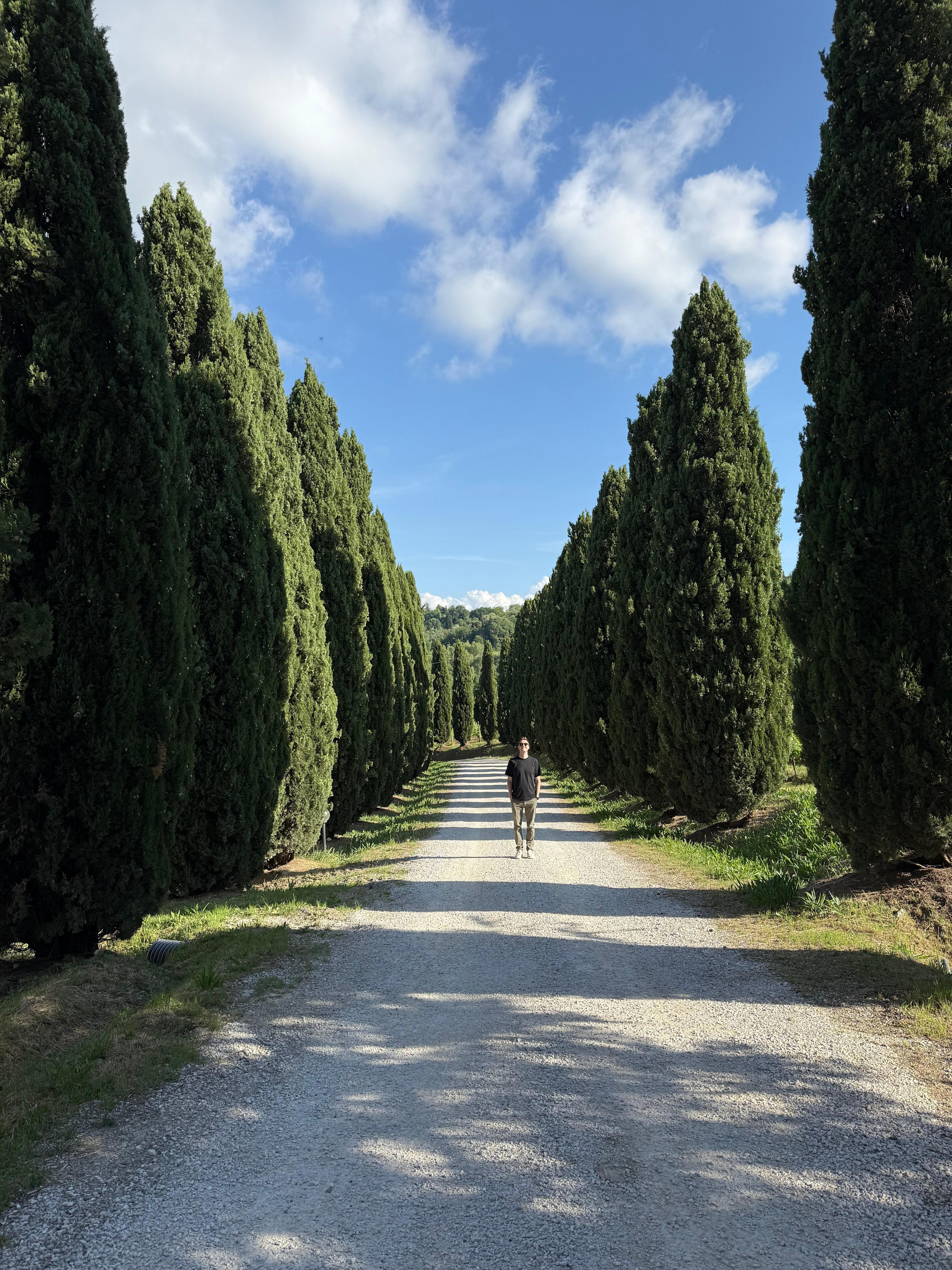 Driveway