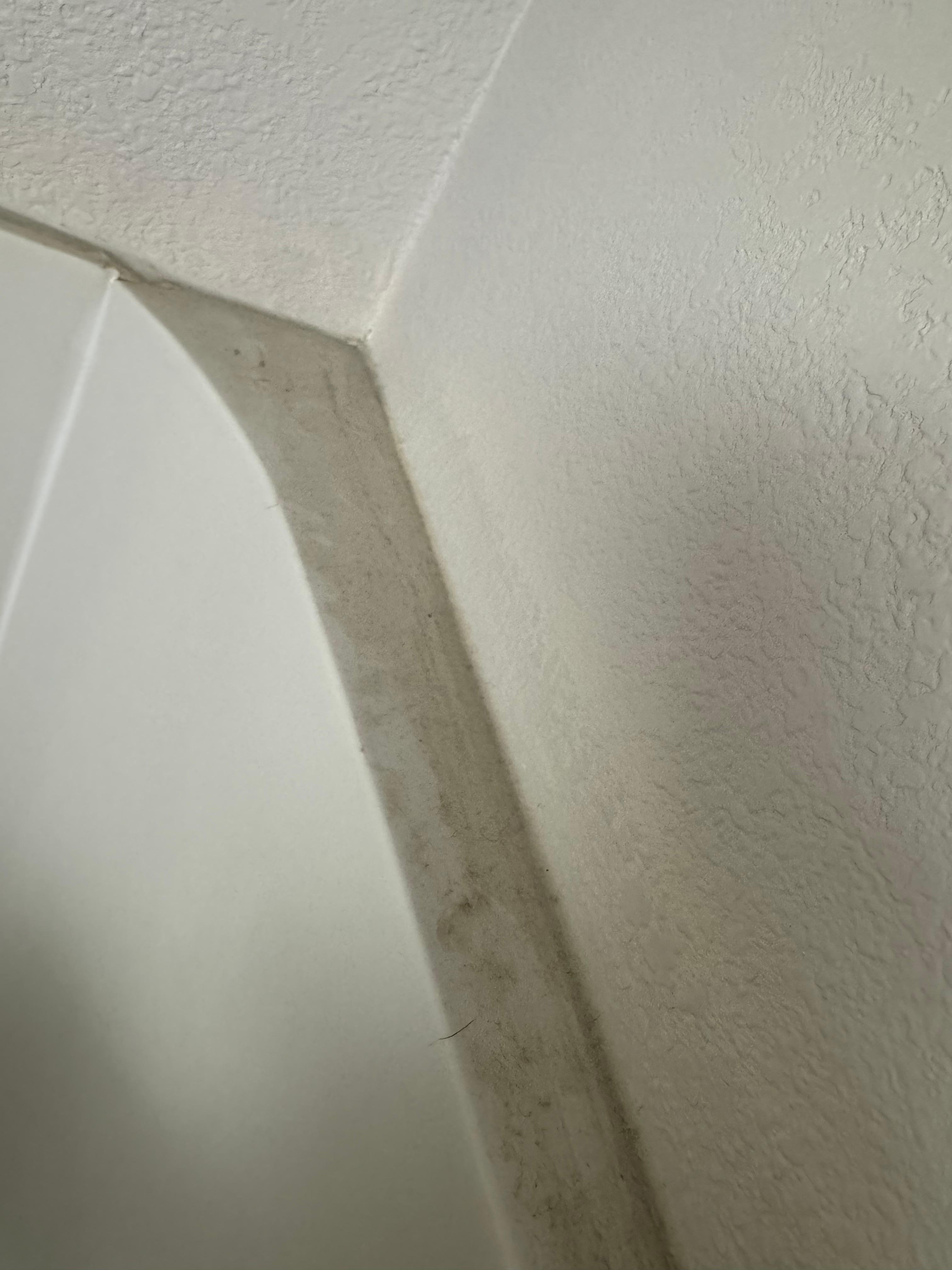 Dust and hair on the shower rail 