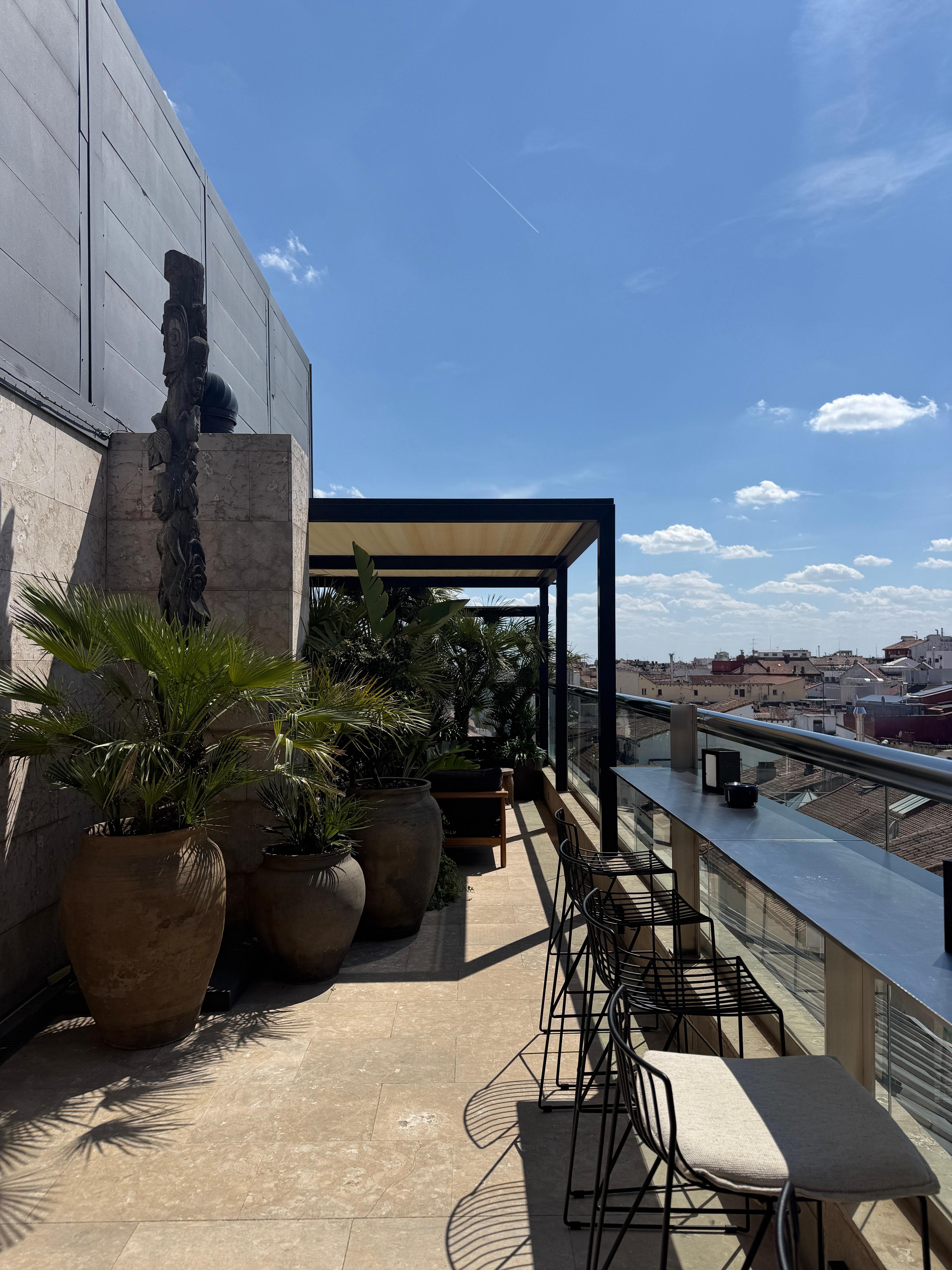 The beautiful rooftop which had great drinks
