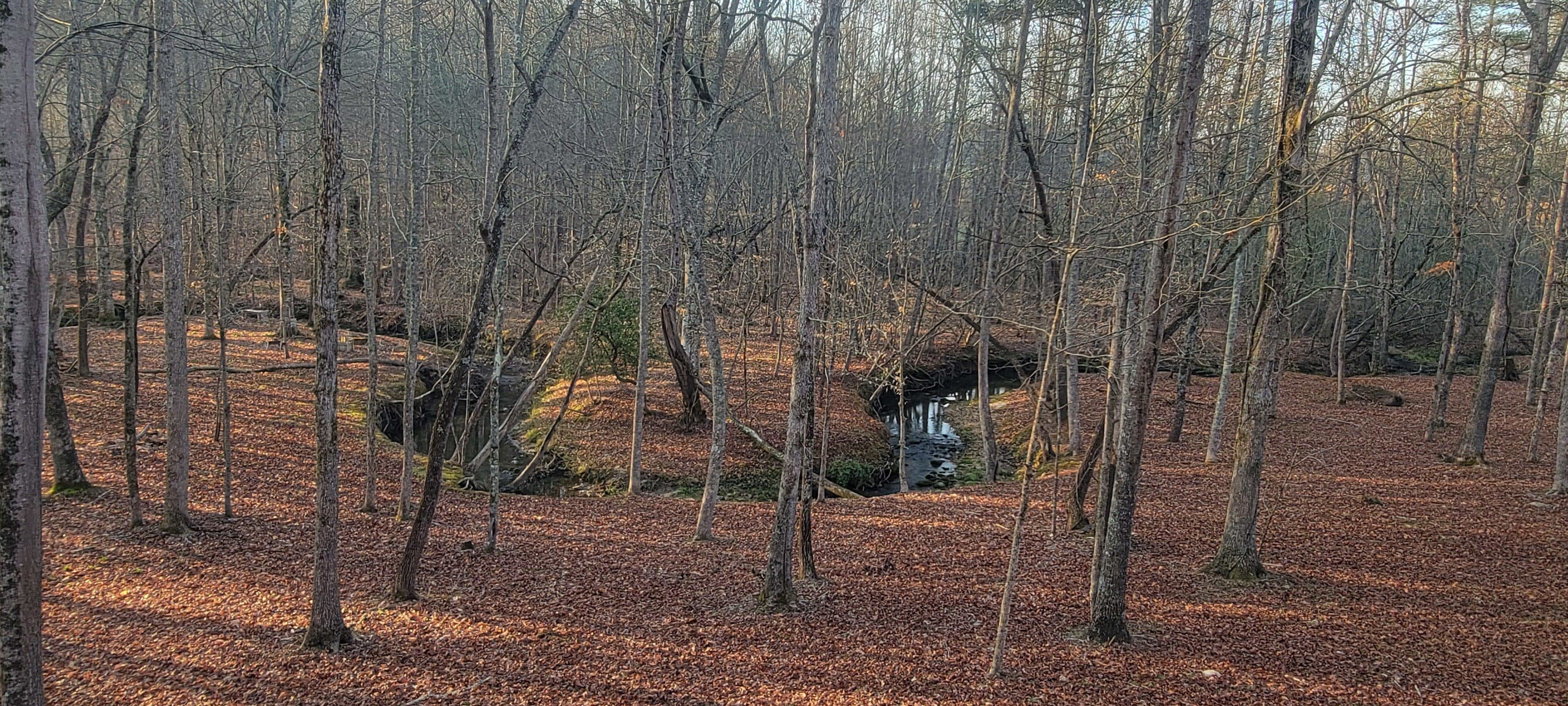 The view from the back deck. 