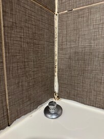 Beaucoup de moisissures