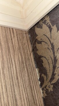 Spindelvev i alle hjørner