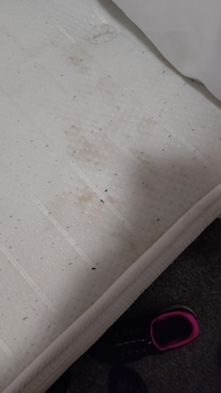 Blood on mattress and no mattress protector