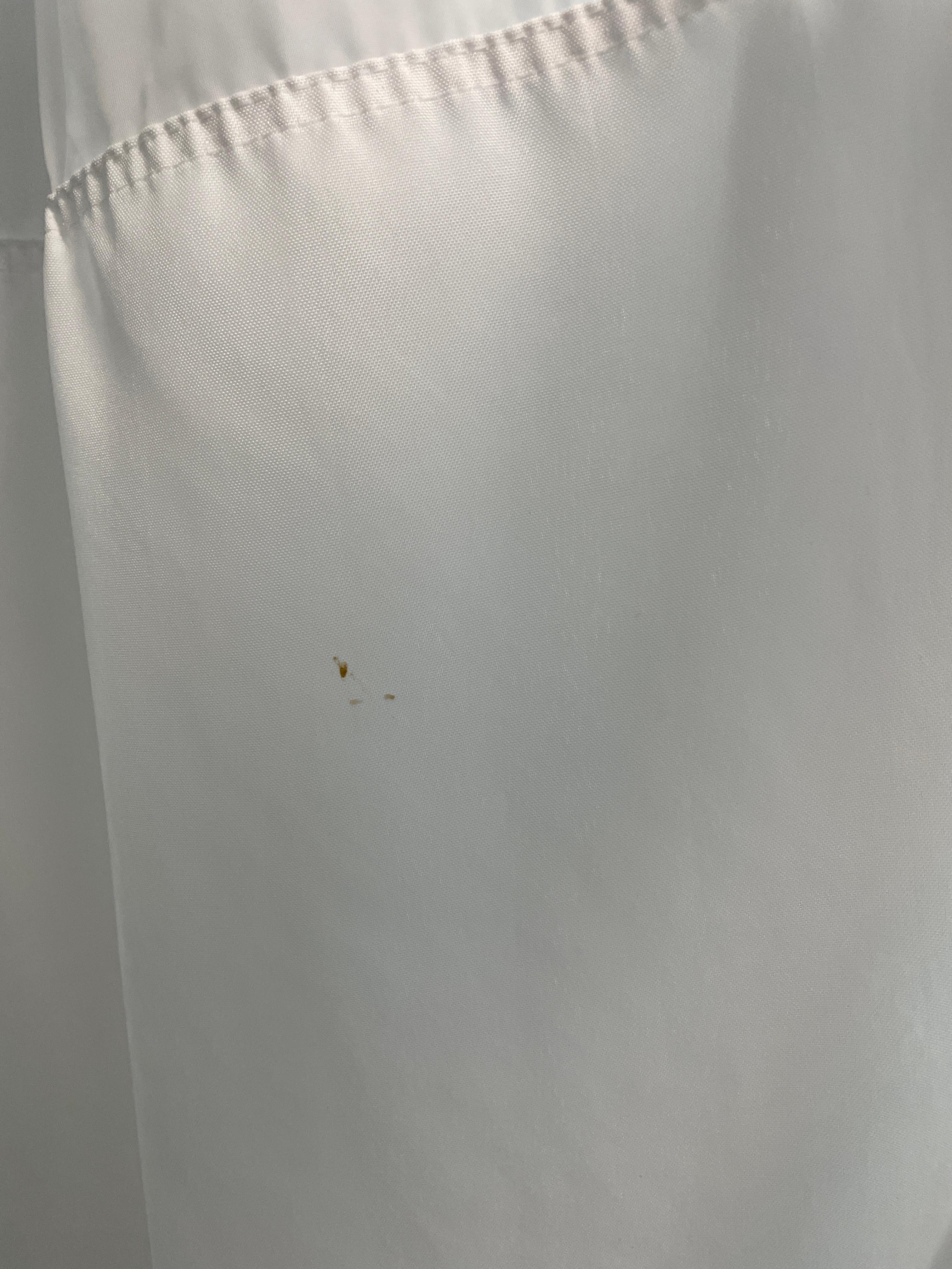 Brown splatter on shower curtain