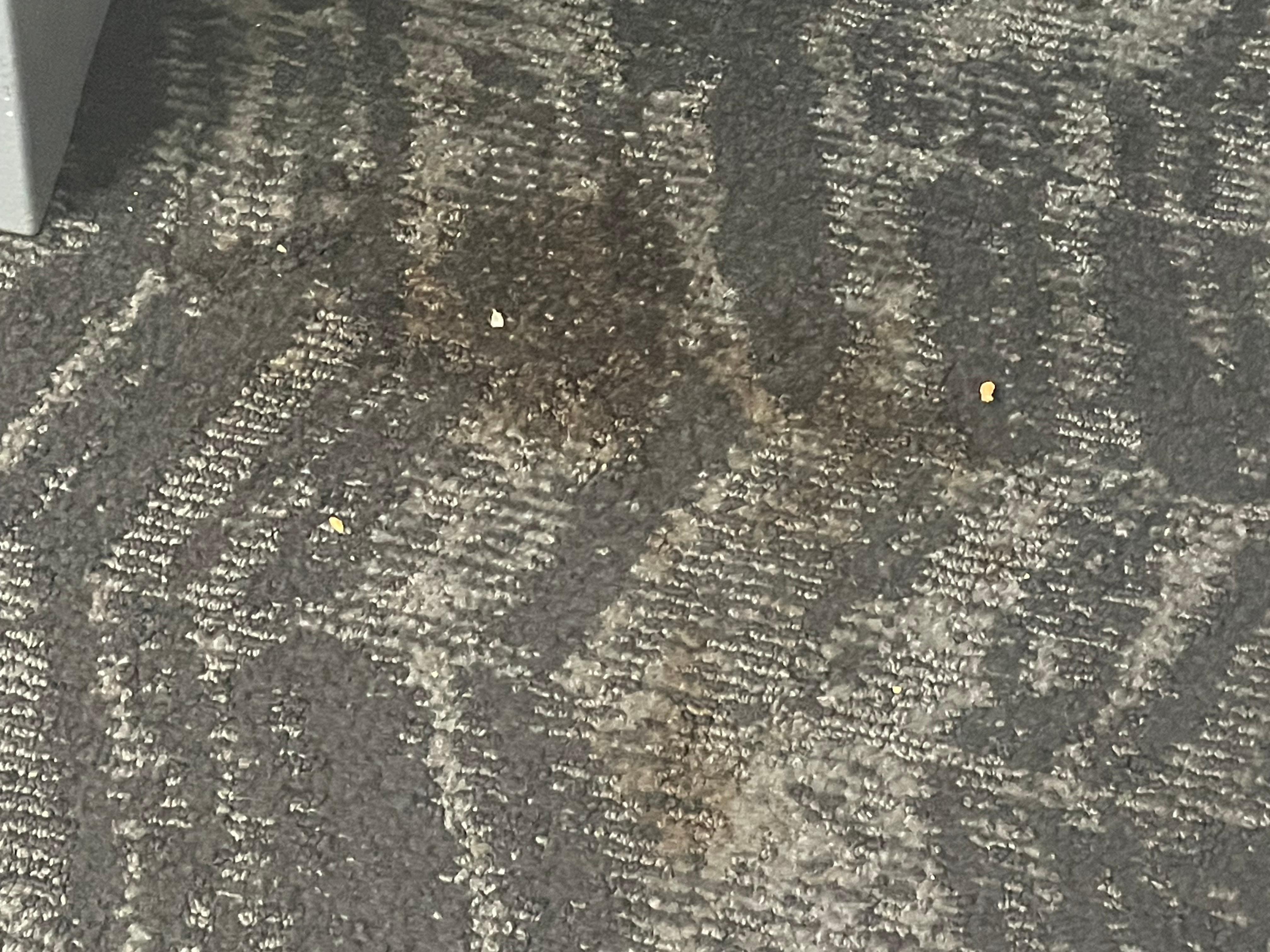 Carpet had so many stains 