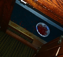 Cat food inside bathroom vanity