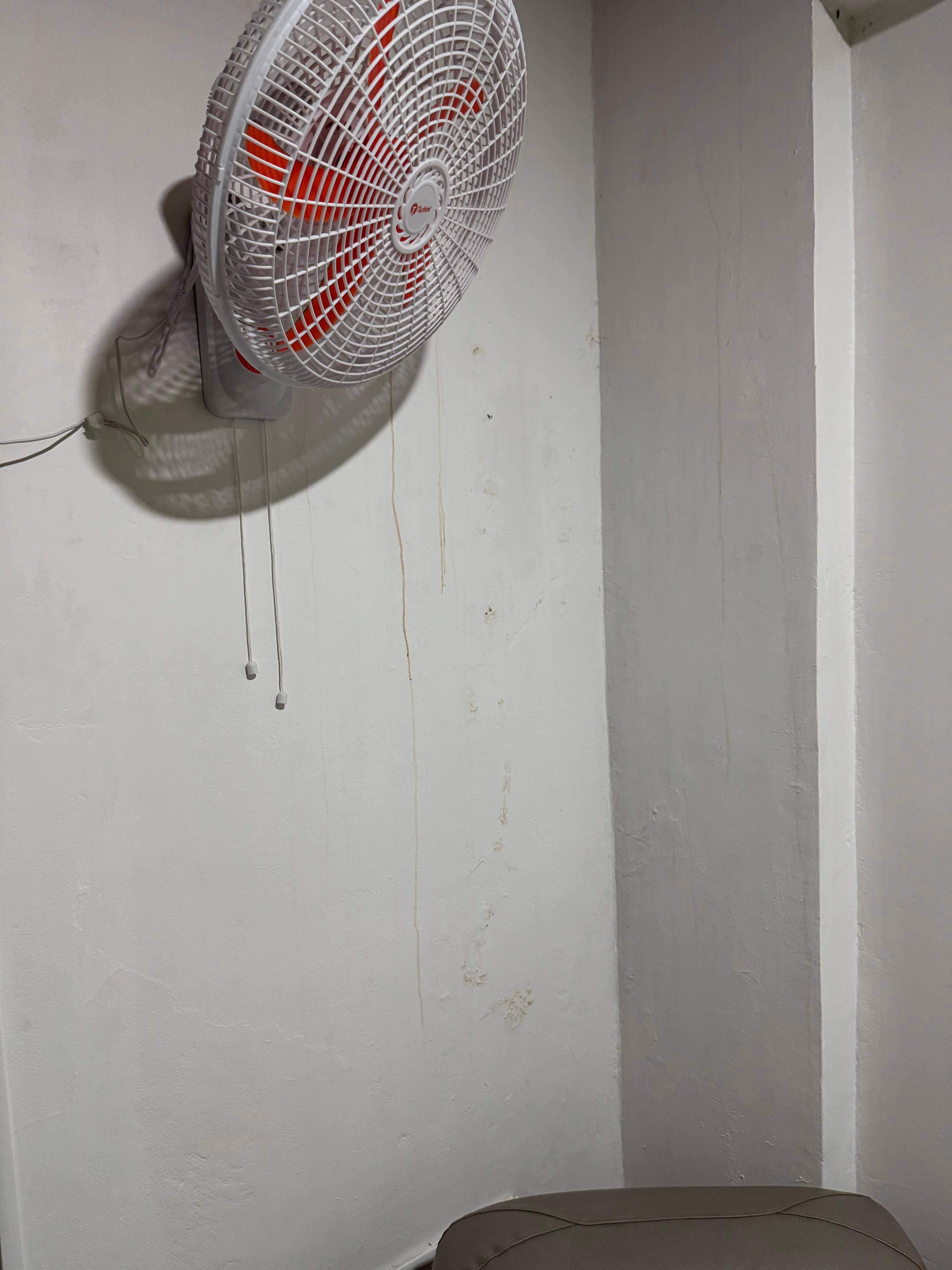 The murder-like smears and stains on the walls.