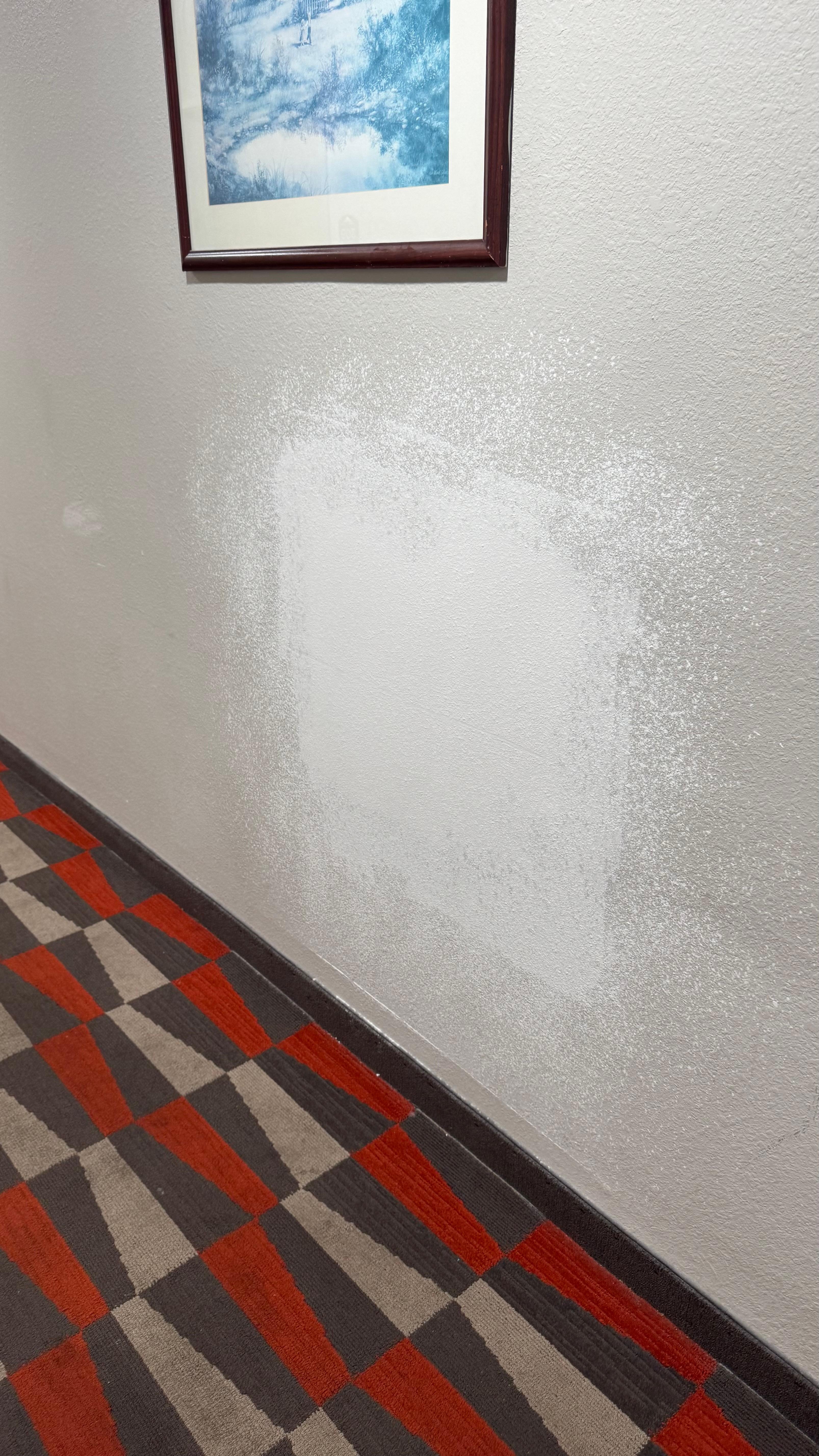 Patched but unpainted drywall next to filthy carpet - but at least that one part of the wall was clean!
