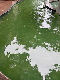 Piscina infantil com foco de dengue