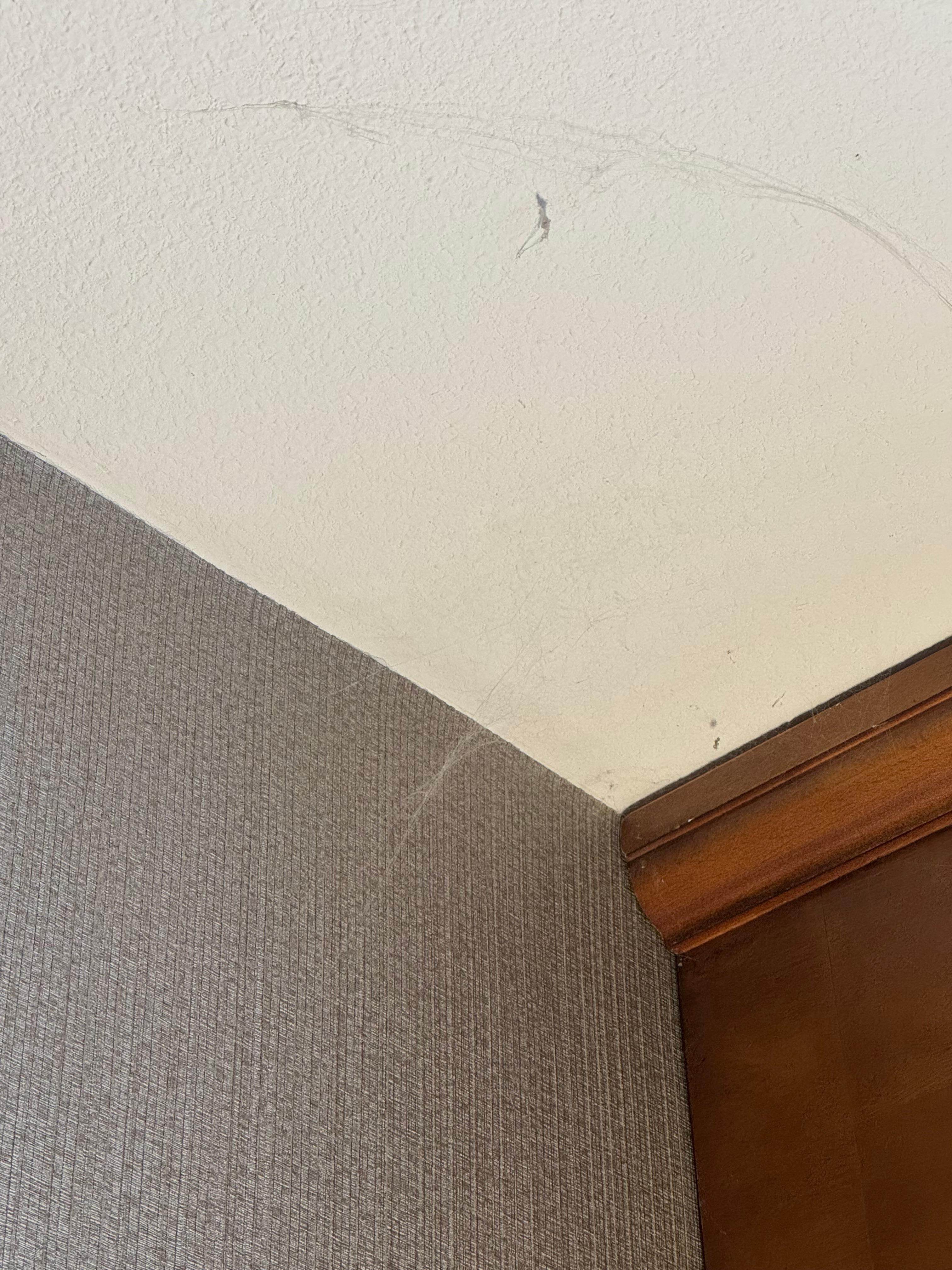En la habitación se ven las telarañas 