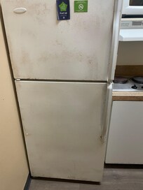 Fridge did work well but has seen better days