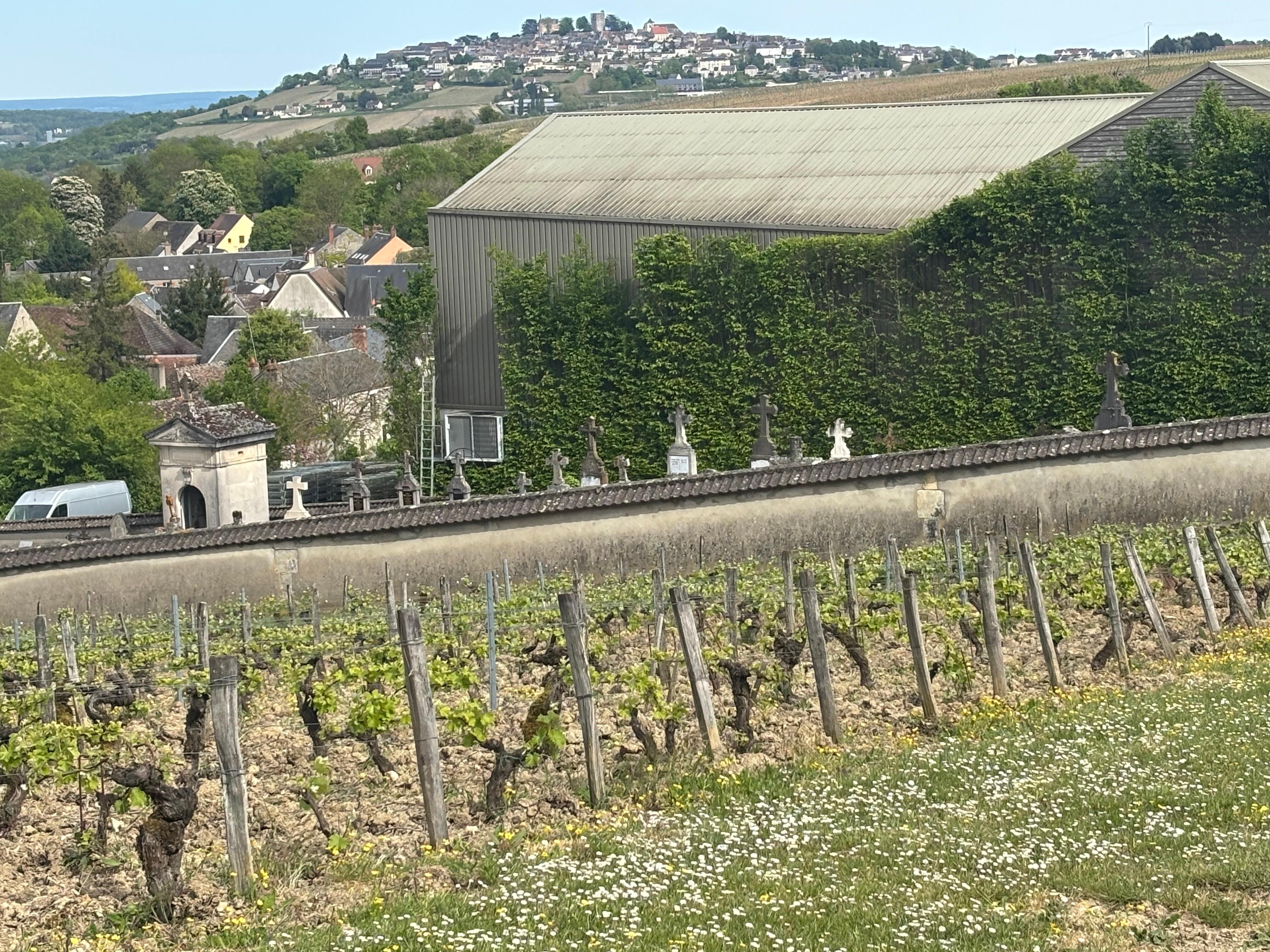 View back to Sancerre from village