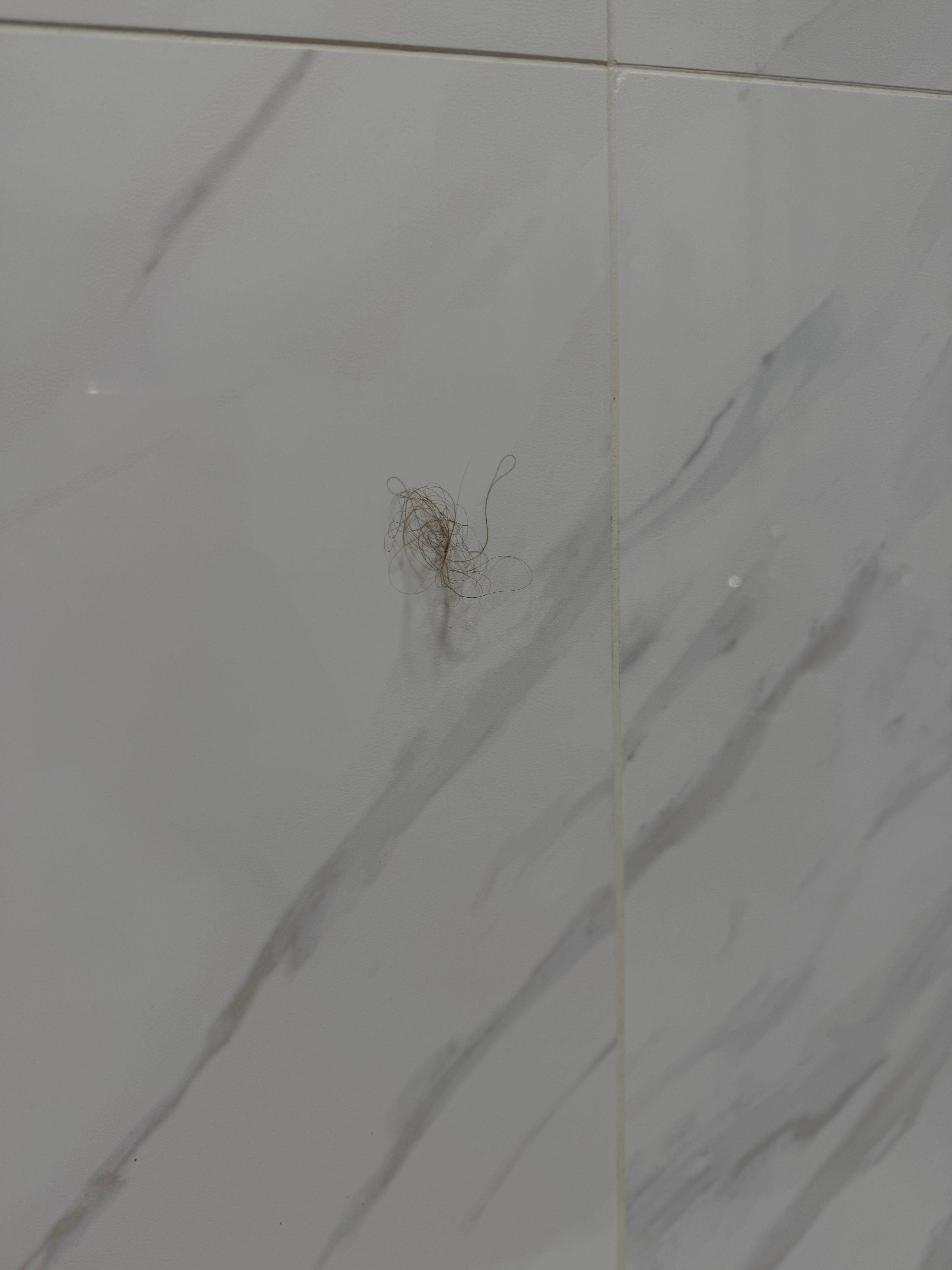 Dirty bathroom hair is clearly visible on the wall.