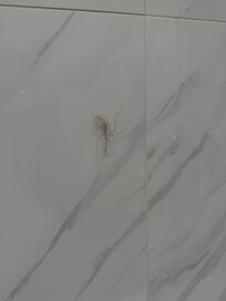 Dirty bathroom hair is clearly visible on the wall.