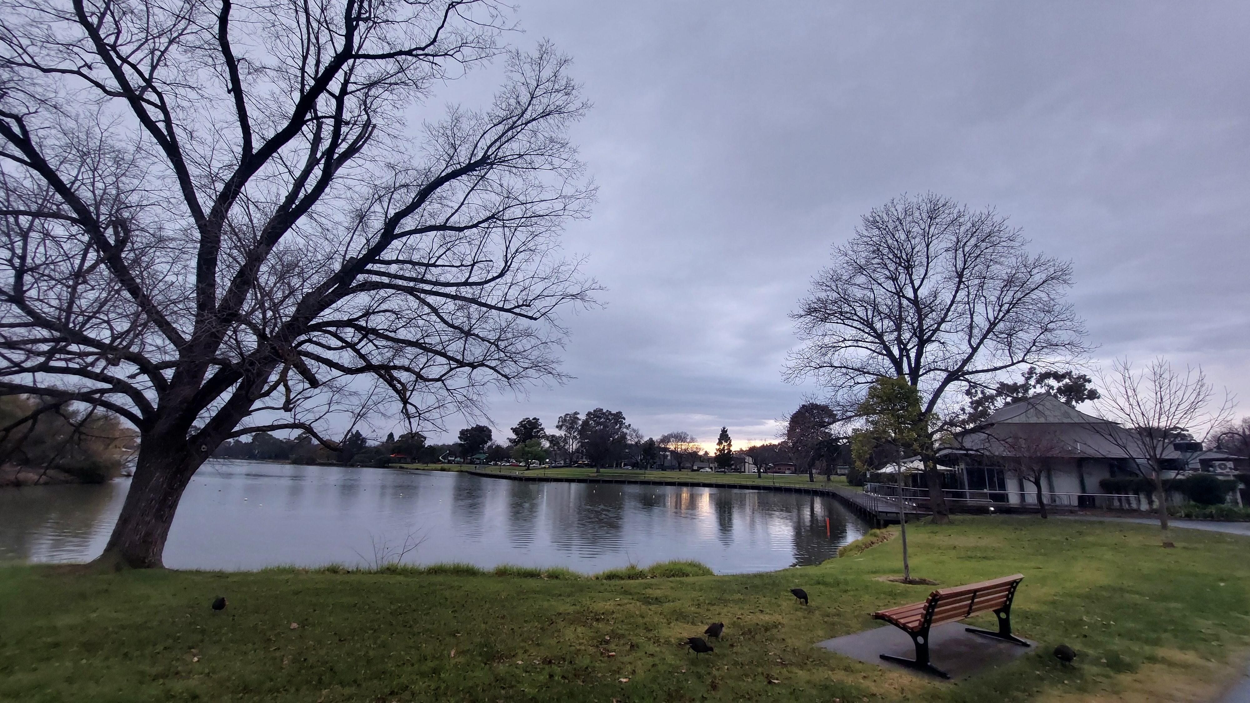View of the lake 