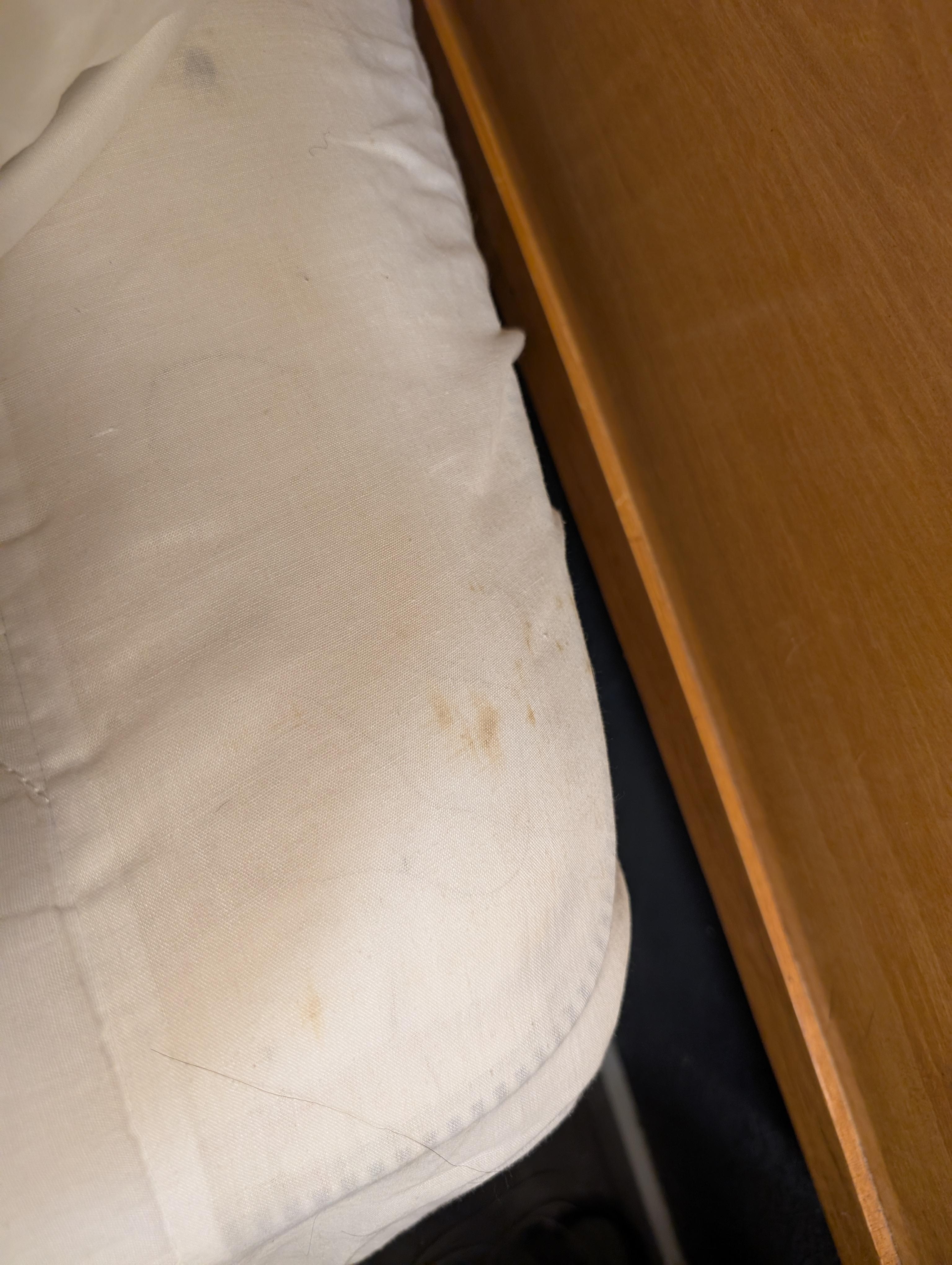 Nasty stains all around sheets and bed covers.