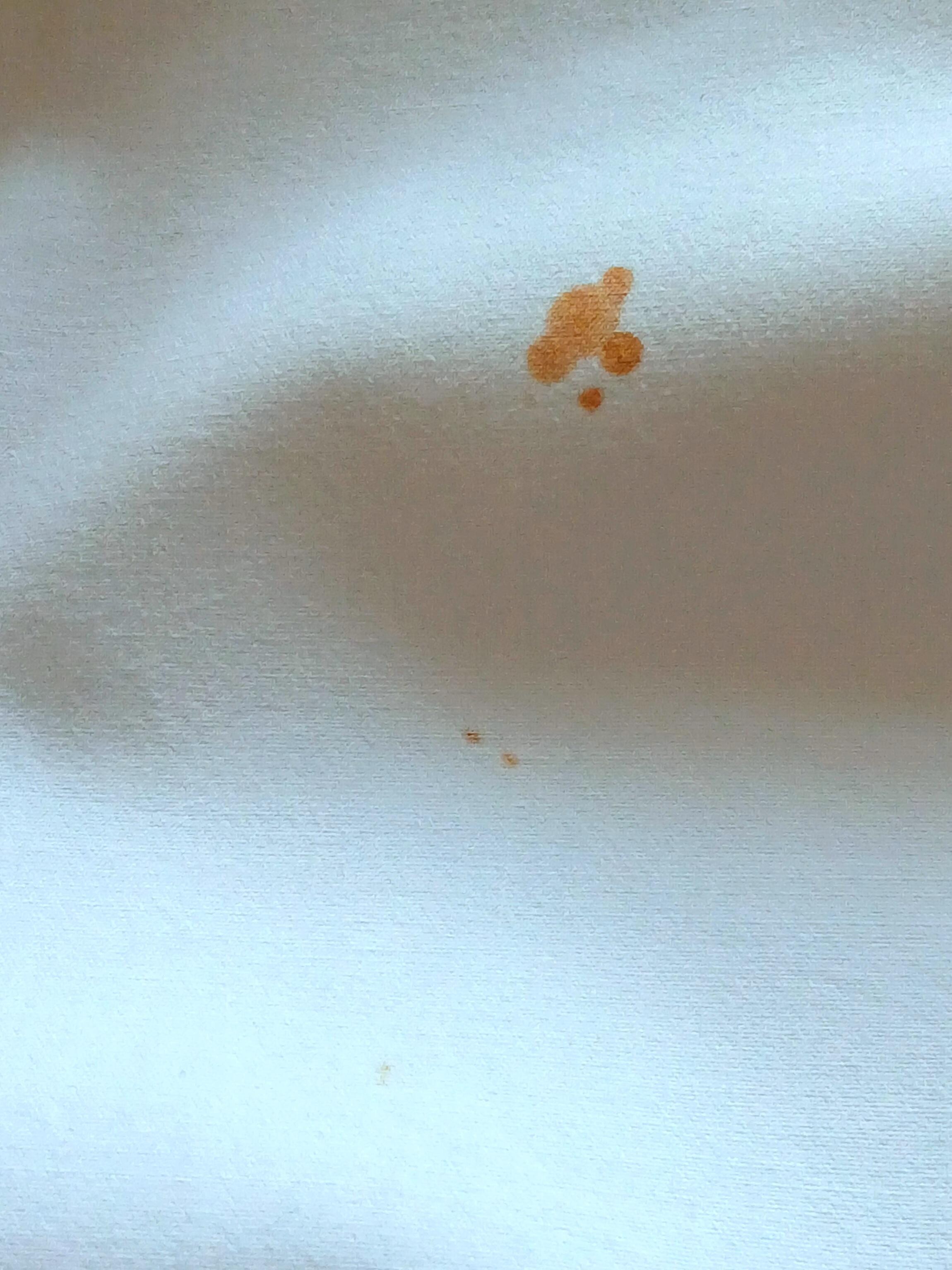 Premium Bed stain 2 (other bed)