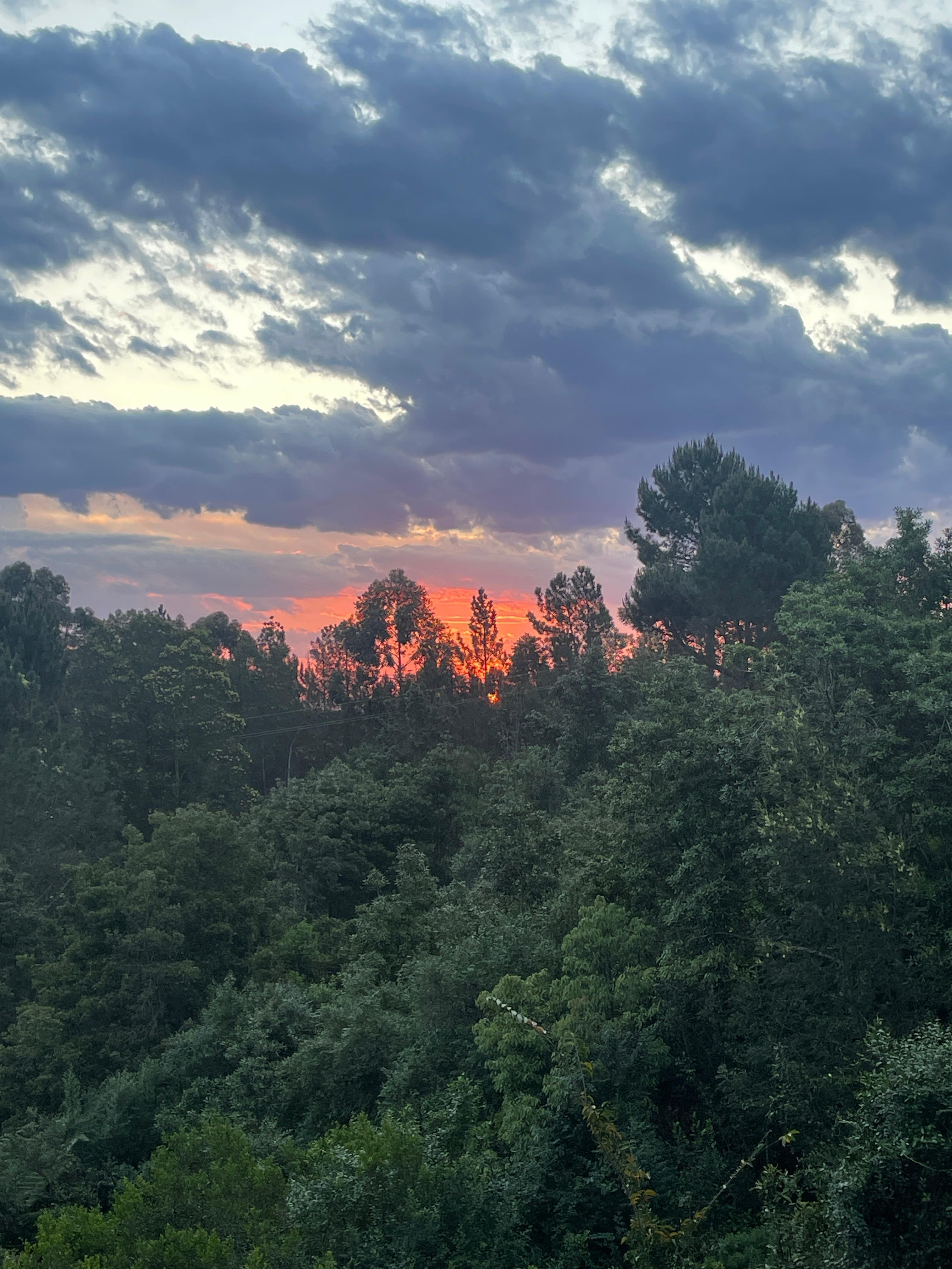 The view from my room at sunset. 