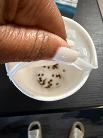 Ladybugs caught in a cup because the staff had no remedy for them.