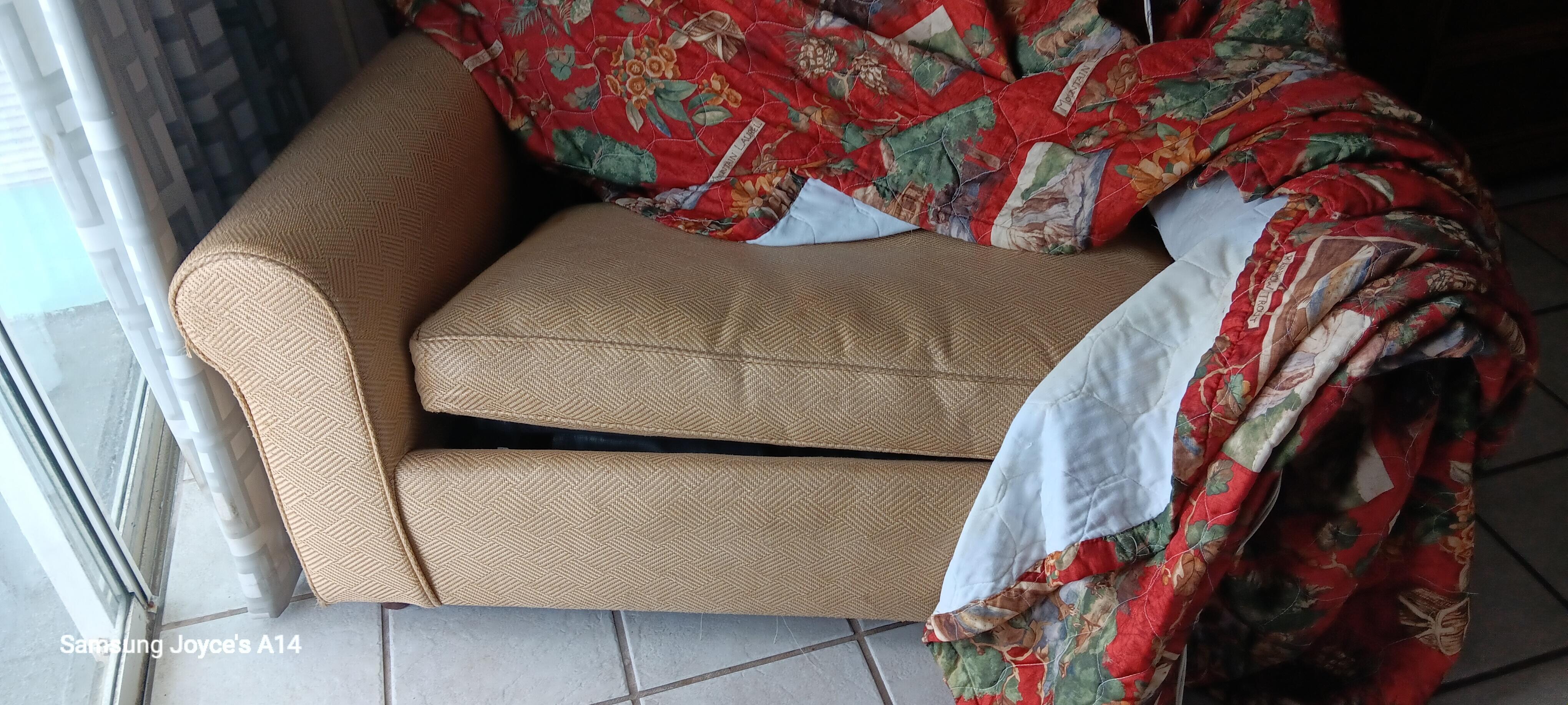 No bed cushion on the pull out.
Looks and the chairs had Rios in the cushions. 