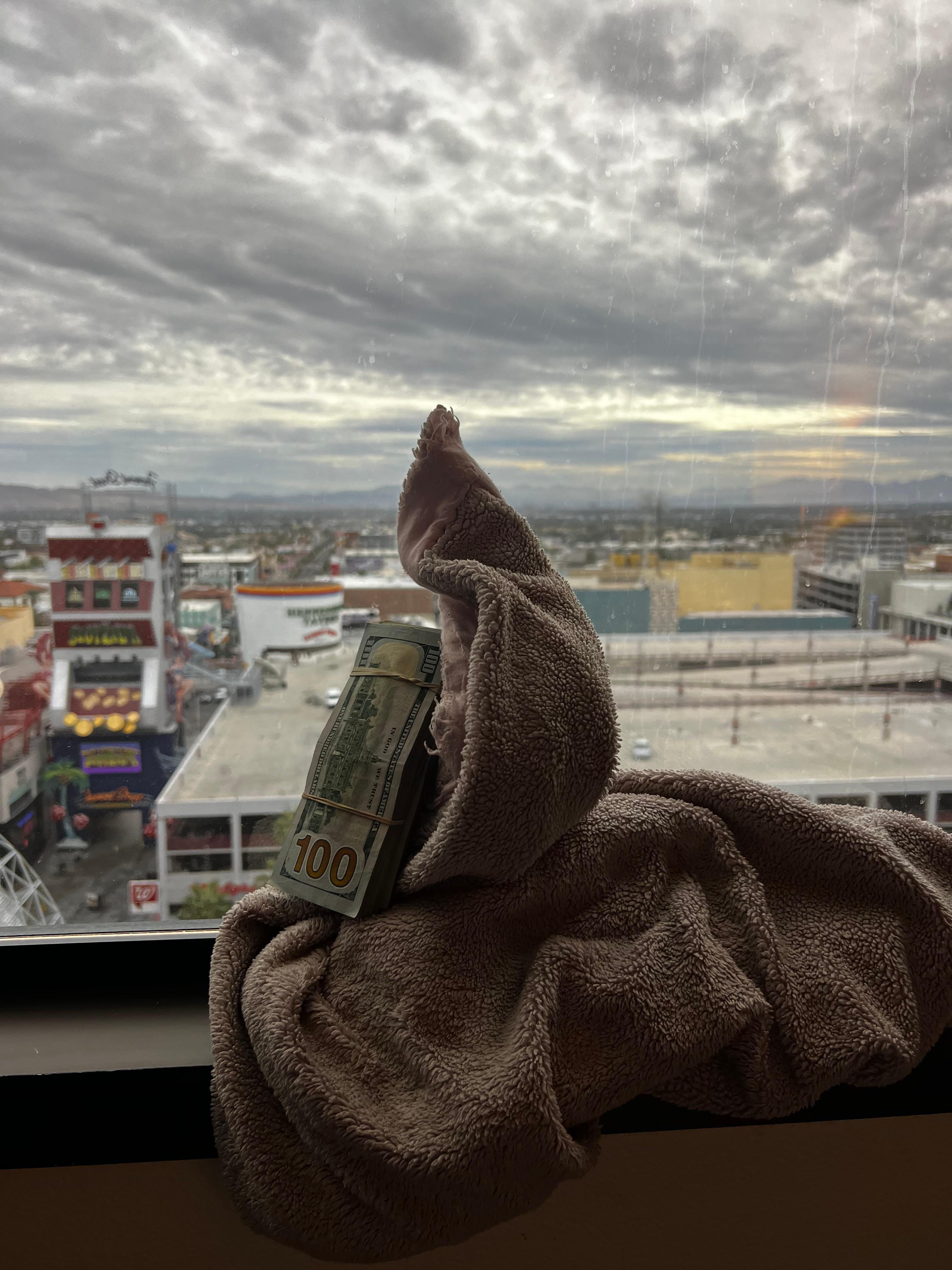 Even Tick Bee liked the stay. So much they tried to leave with our money!!