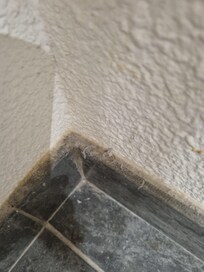 Poussière dans chaque coin, ici sdb