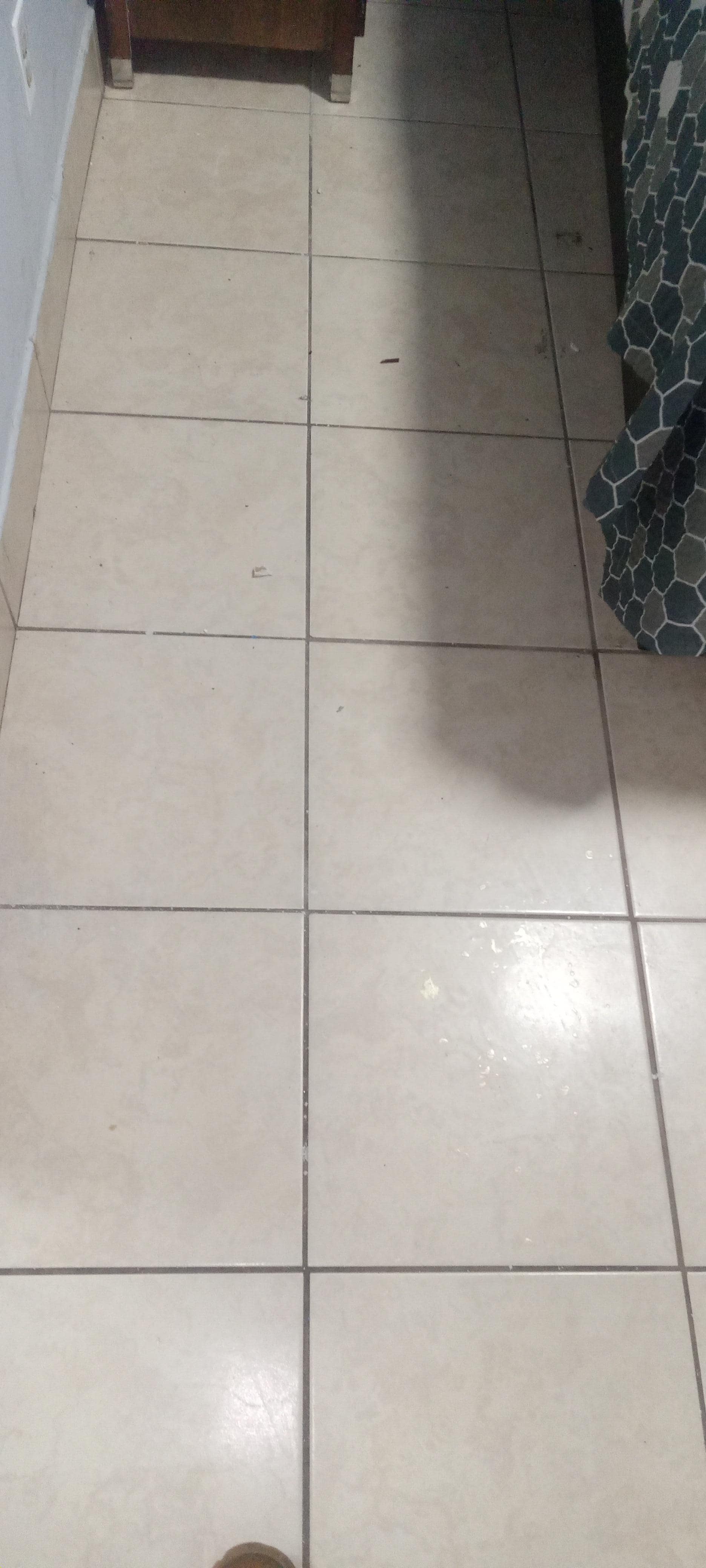 Haven't heard of a mop