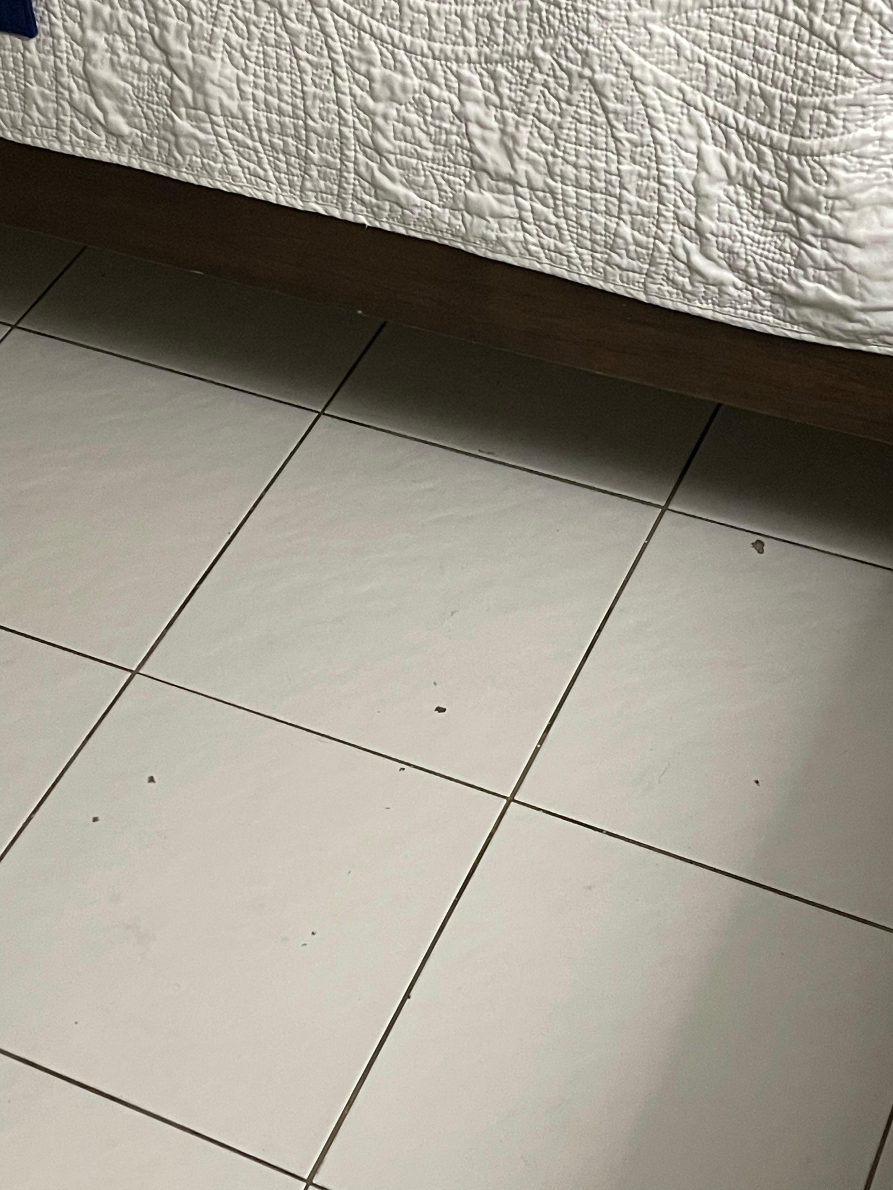 Dirt on the floor when we