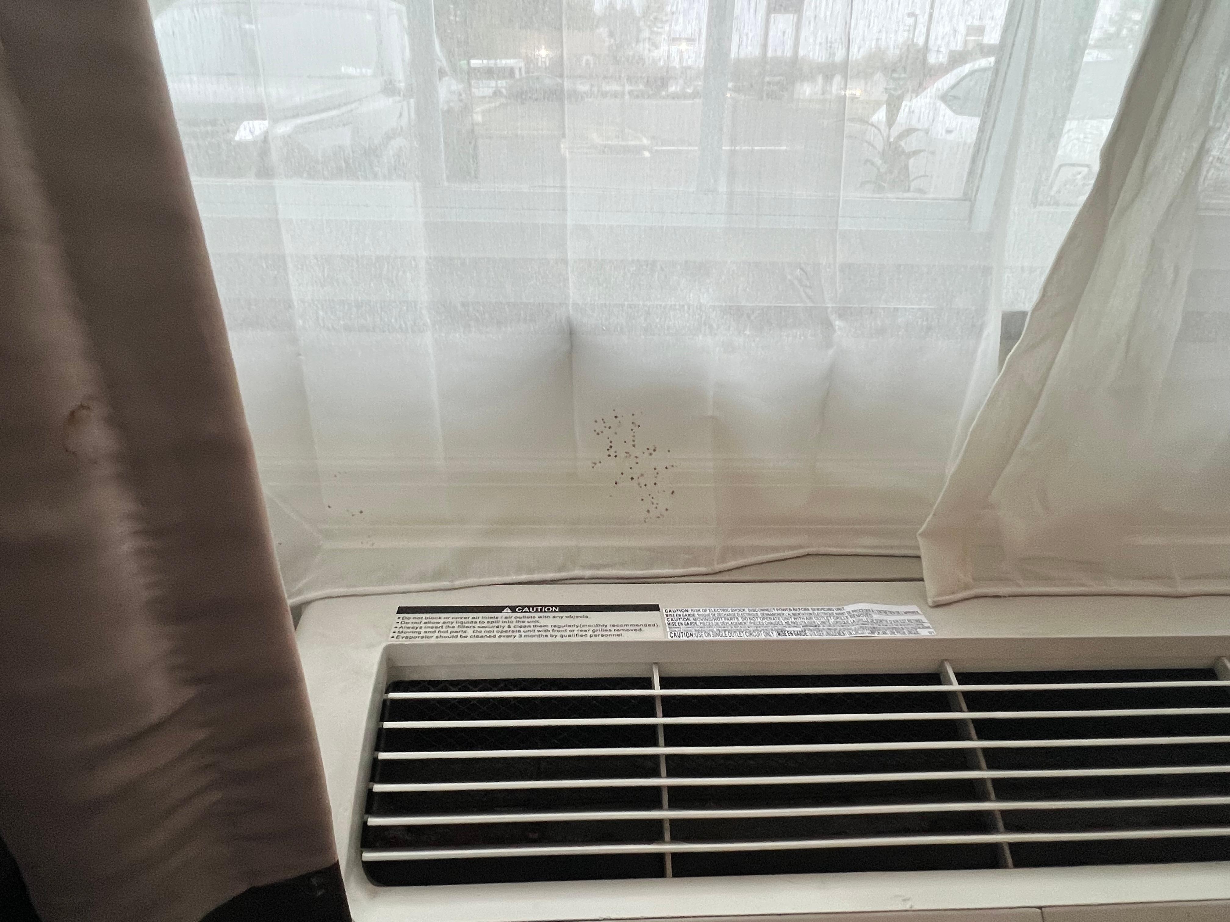 Mold in the room