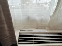 Mold in the room