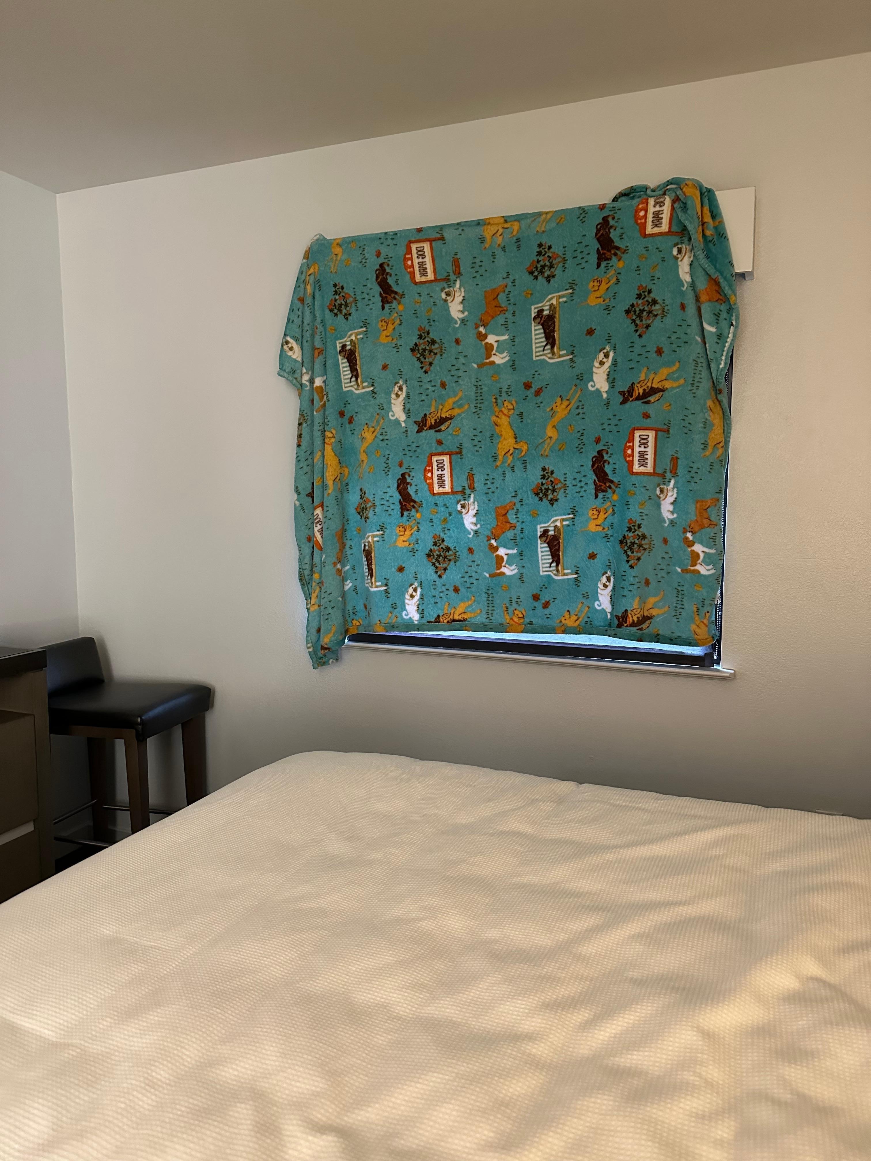 Fortunately I had a dog blanket in the car