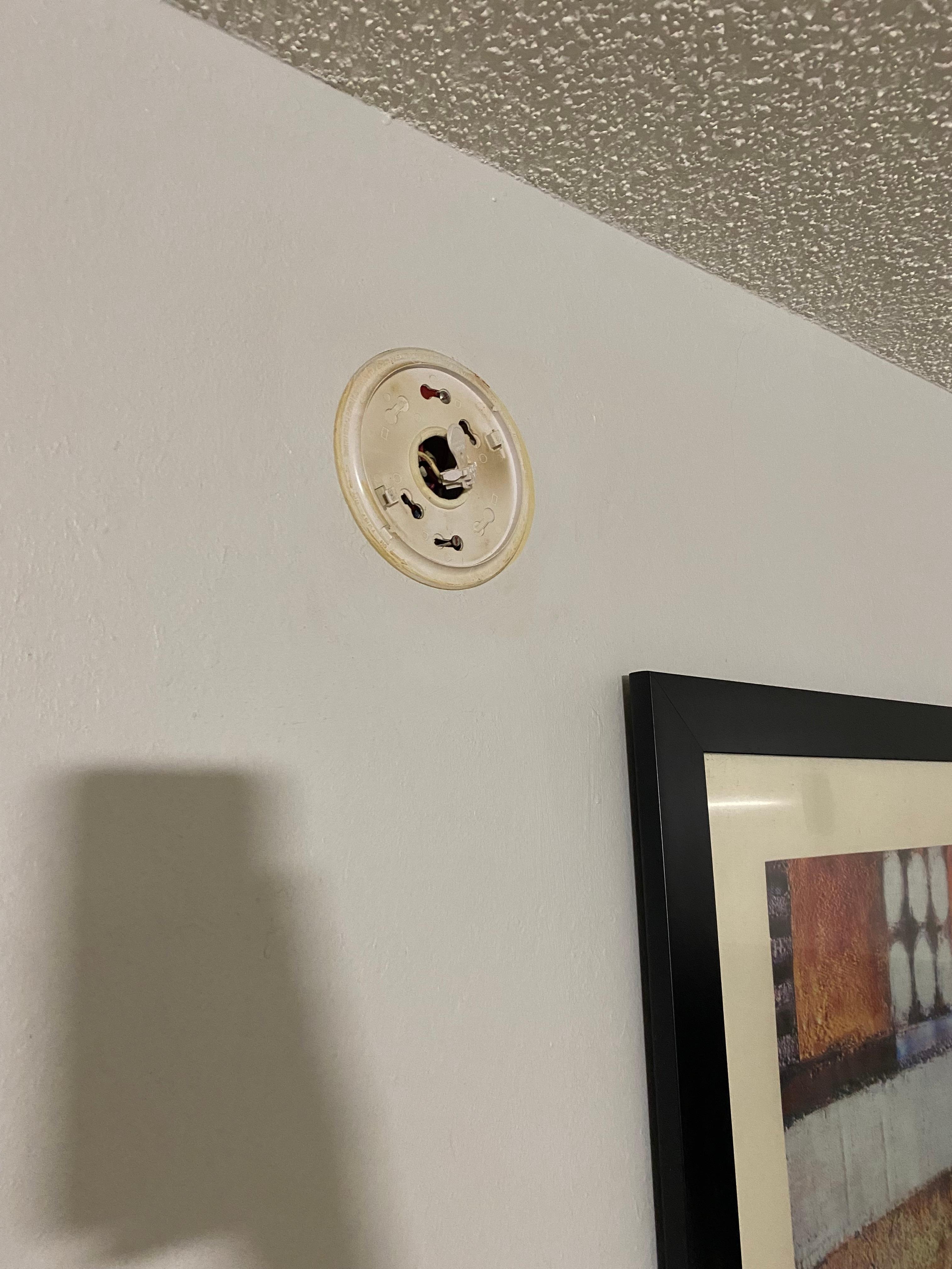 No smoke alarm