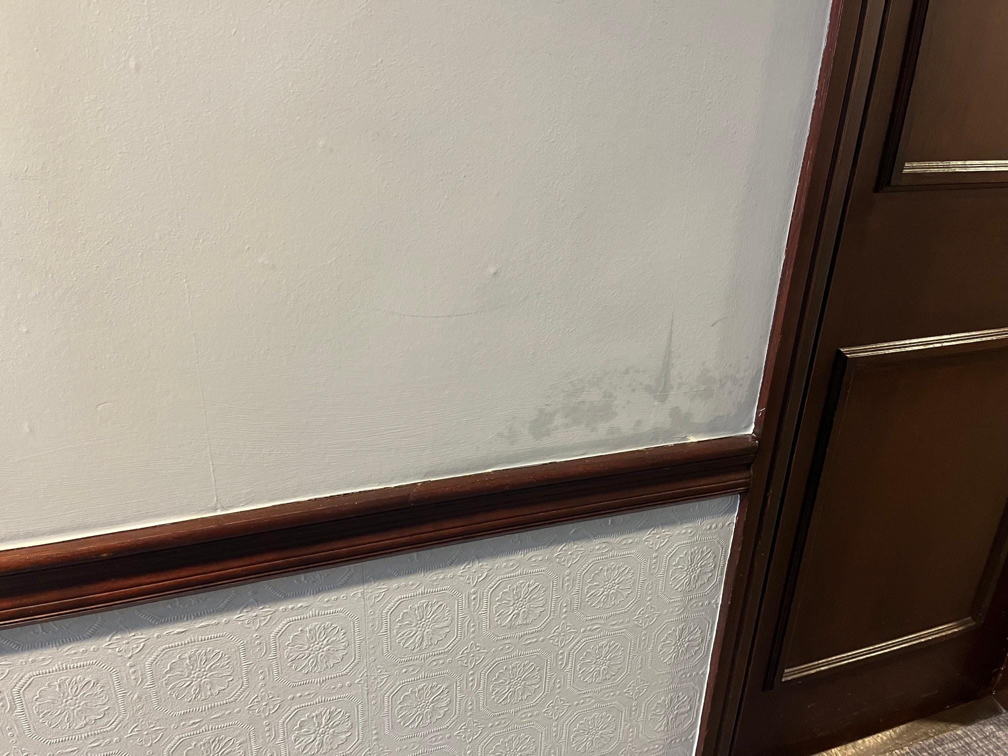 Damp in corridor