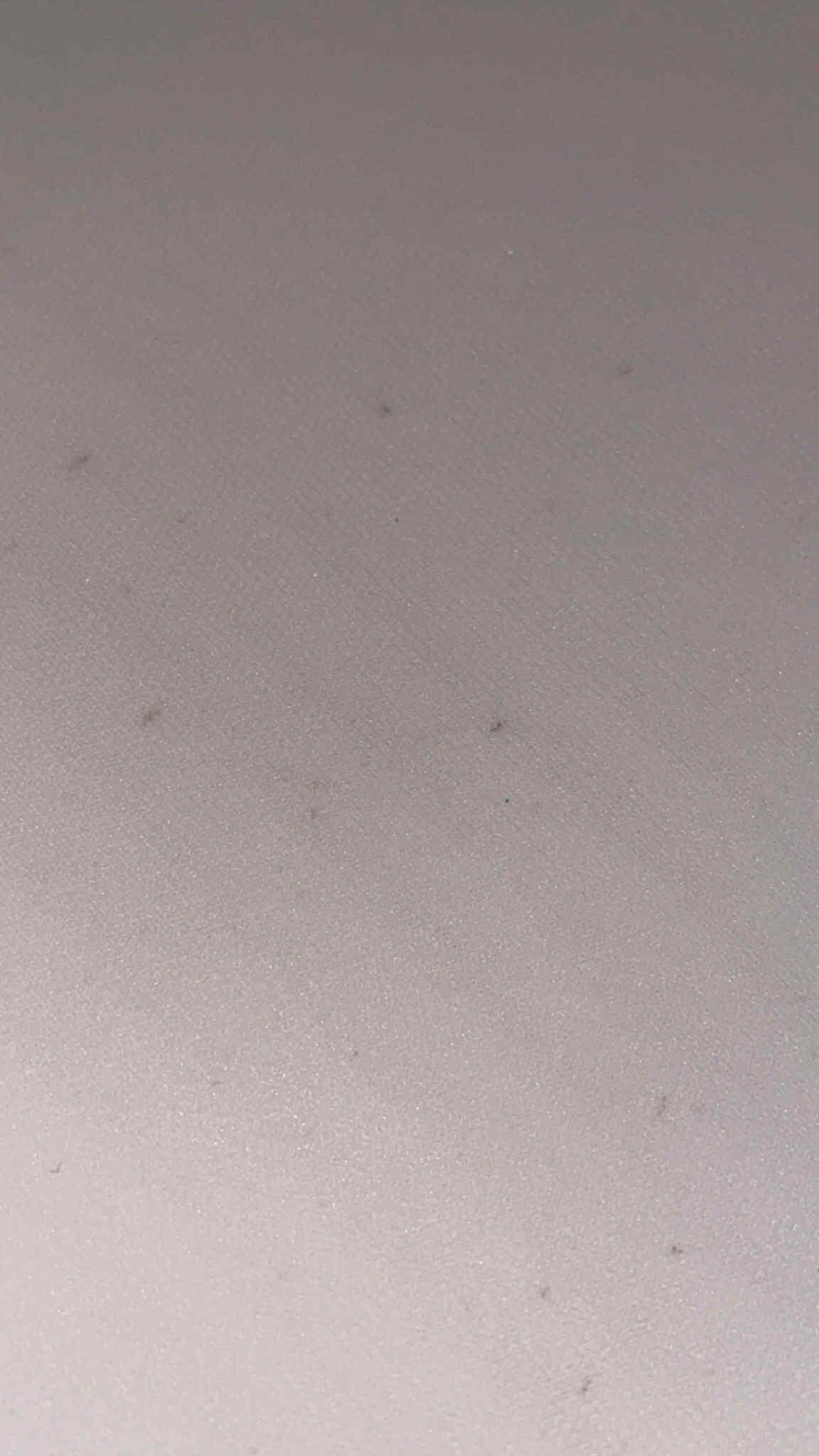 Bed bug dropping 