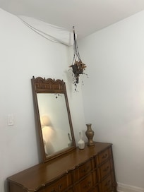 Dead plant and ceiling hanging down.