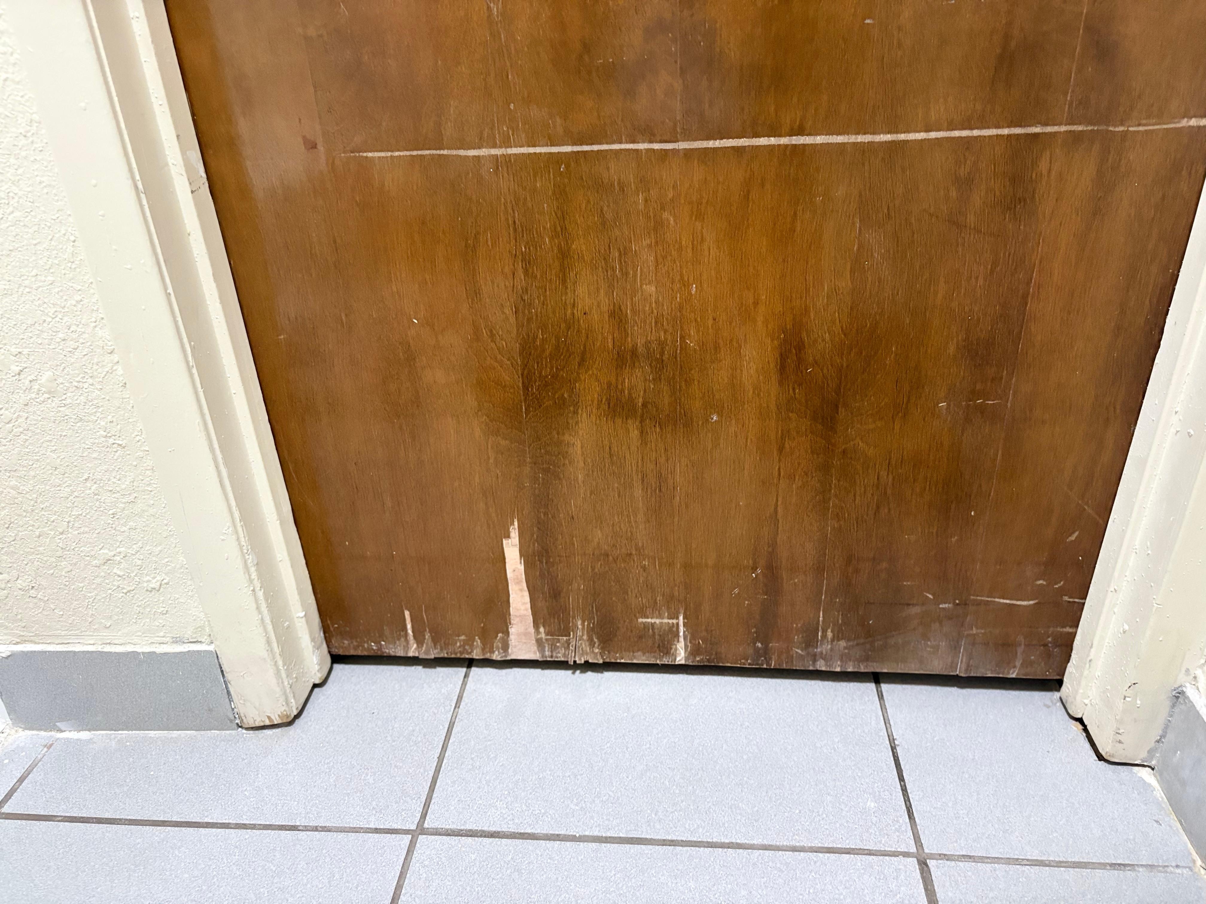 Ratty bathroom door