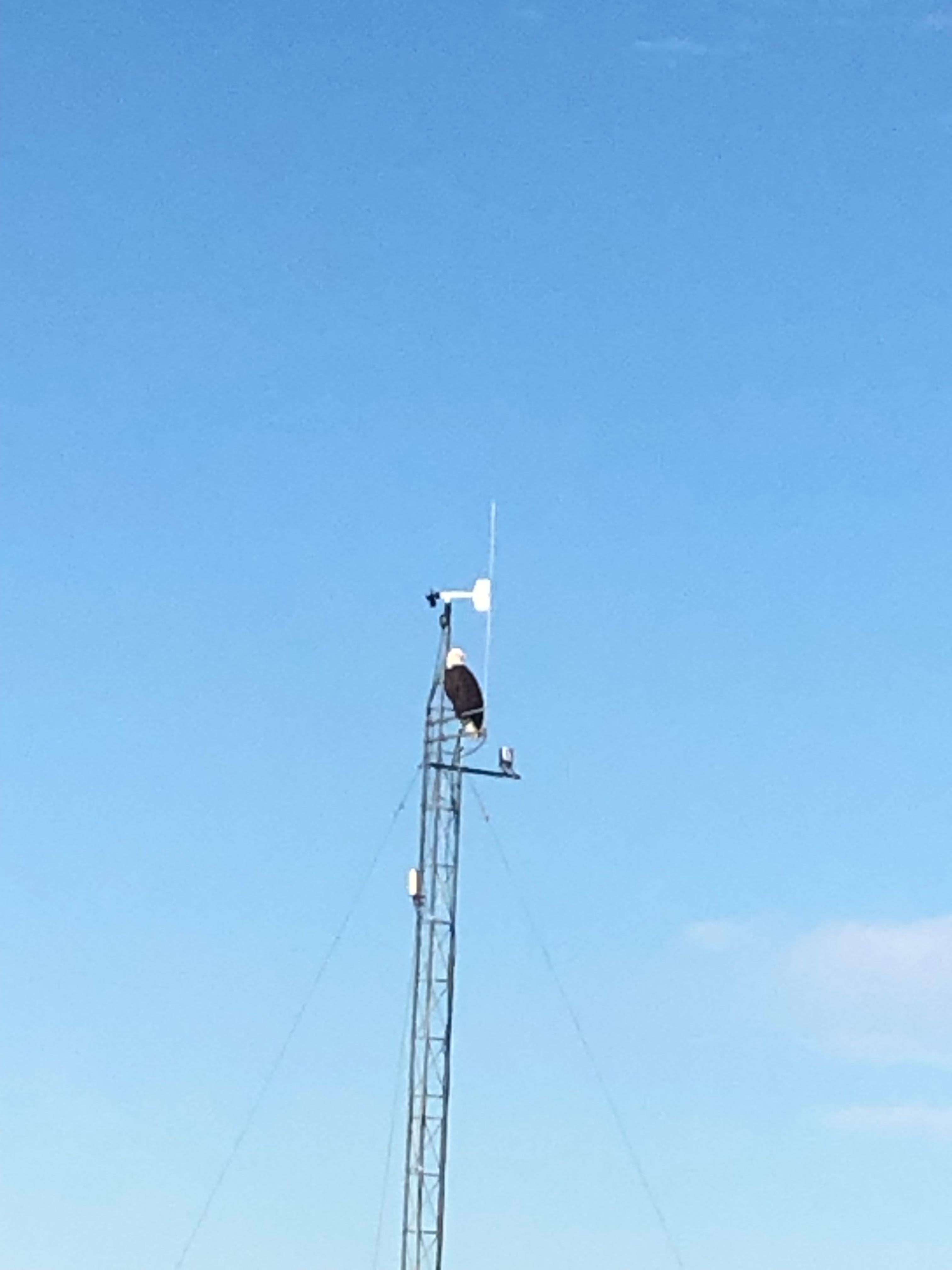 We were minutes from Black Mesa Park and so much wildlife!