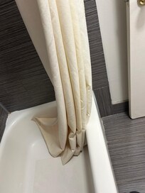 Dirty-looking shower curtain