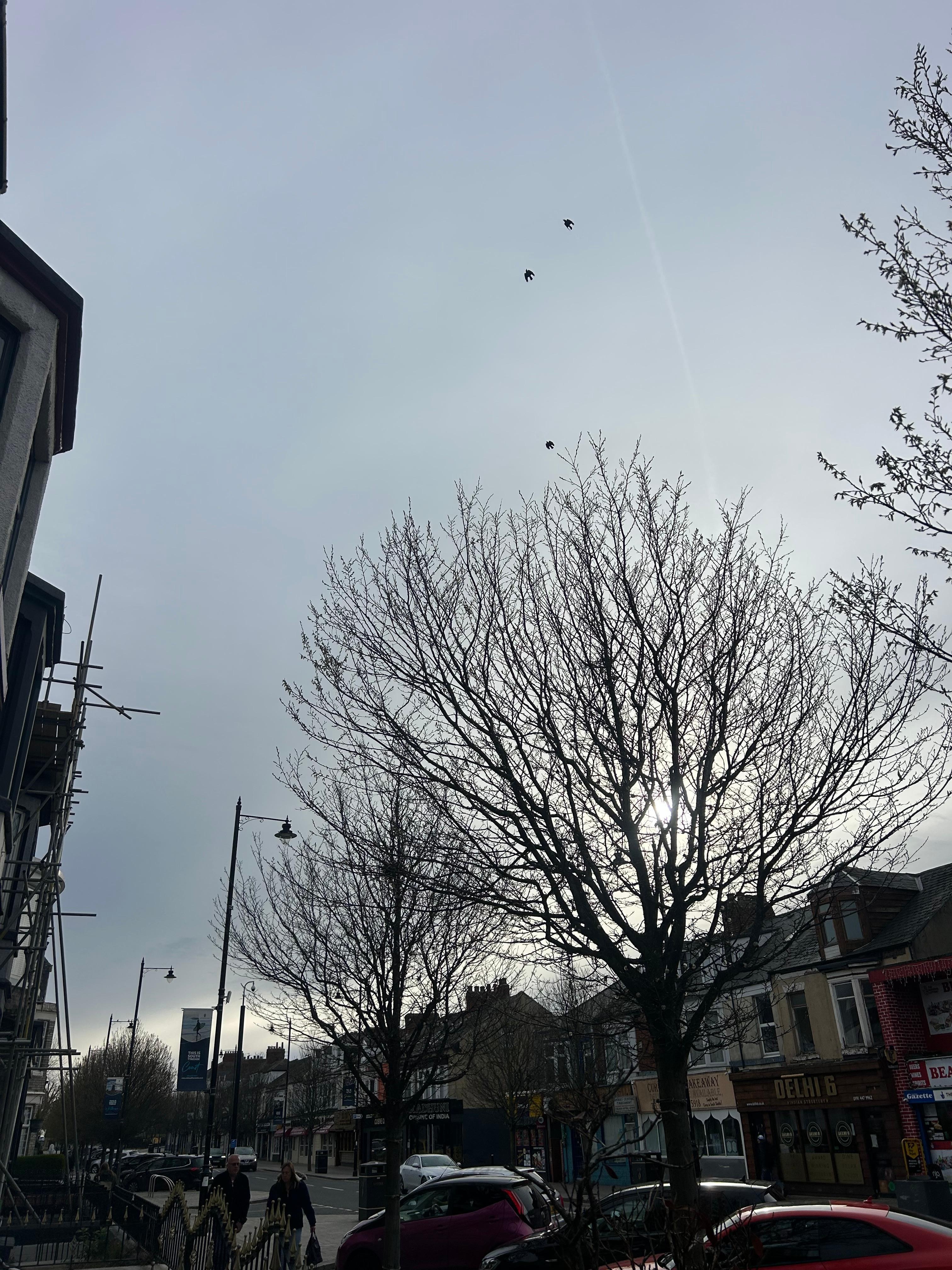 Morning view from the front bench at the property 