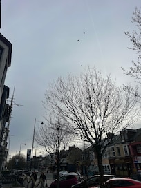 Morning view from the front bench at the property