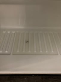 Dead roach šŖ³ in standing water bottom of refrigerator