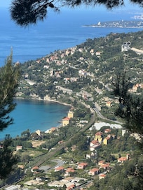 View from the room