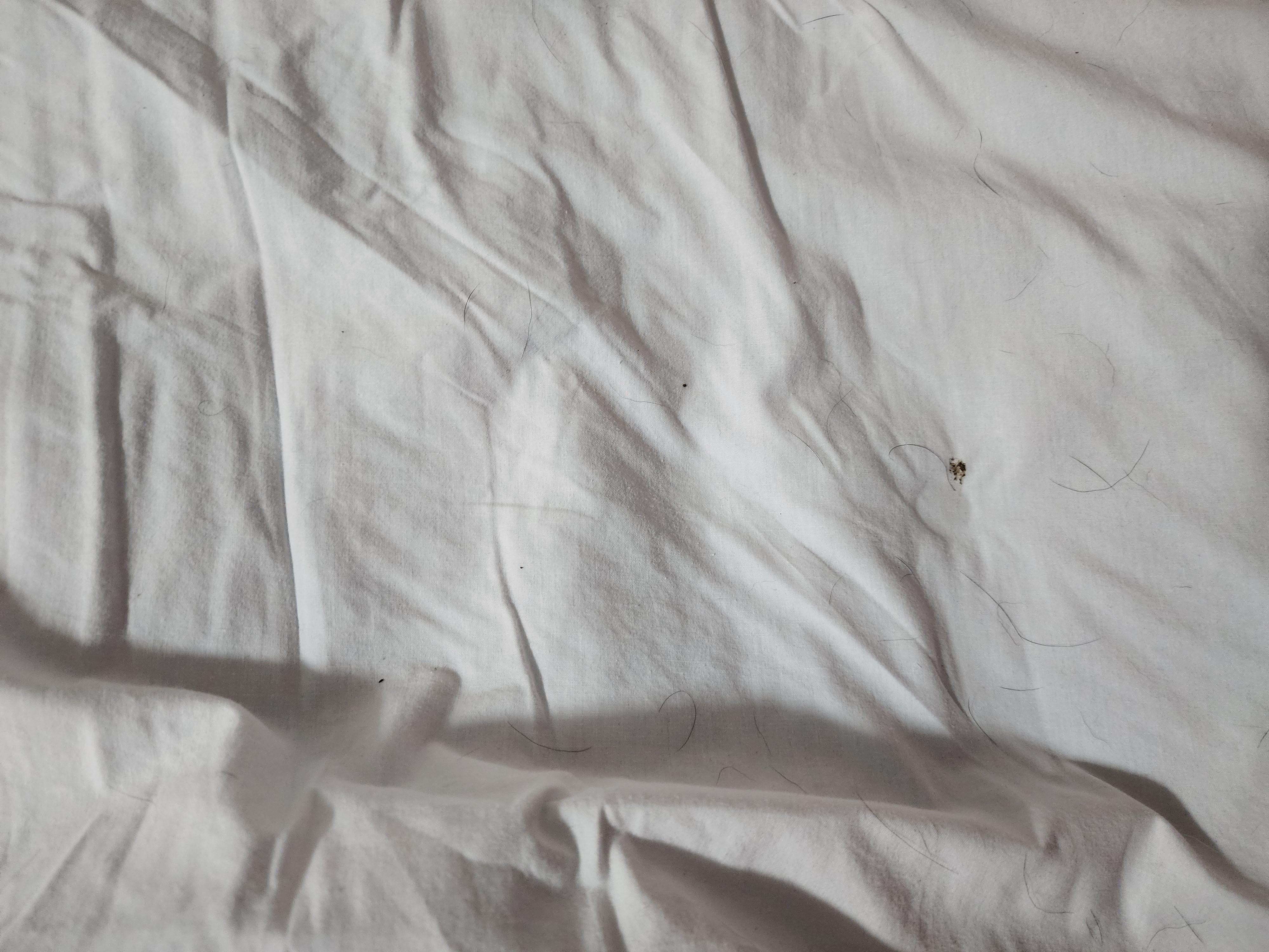 Animal hair all over linens